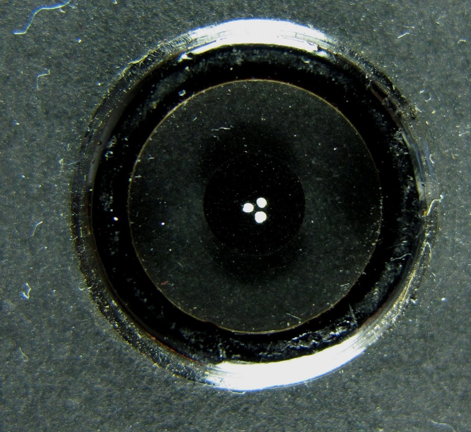 Antique microscope slide by Sinel. Foraminifera. Miliolina subrotunda ...