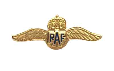 Small RAF Wings Military Hard High Quality Enamel Lapel Pin Badge | eBay UK