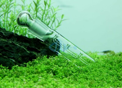 Clear Glass Planaria Trap Shrimp Fish Snail Safe Planaria Hydra Leach ...