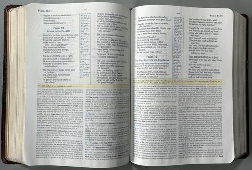 HCSB Study Bible Mahogany Duotone Simulated Leather Clean Text G+ USA ...