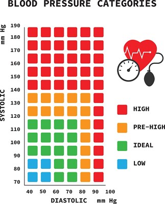 Blood Pressure Chart Showing Limited Edition Premium Poster 61x91cm ...