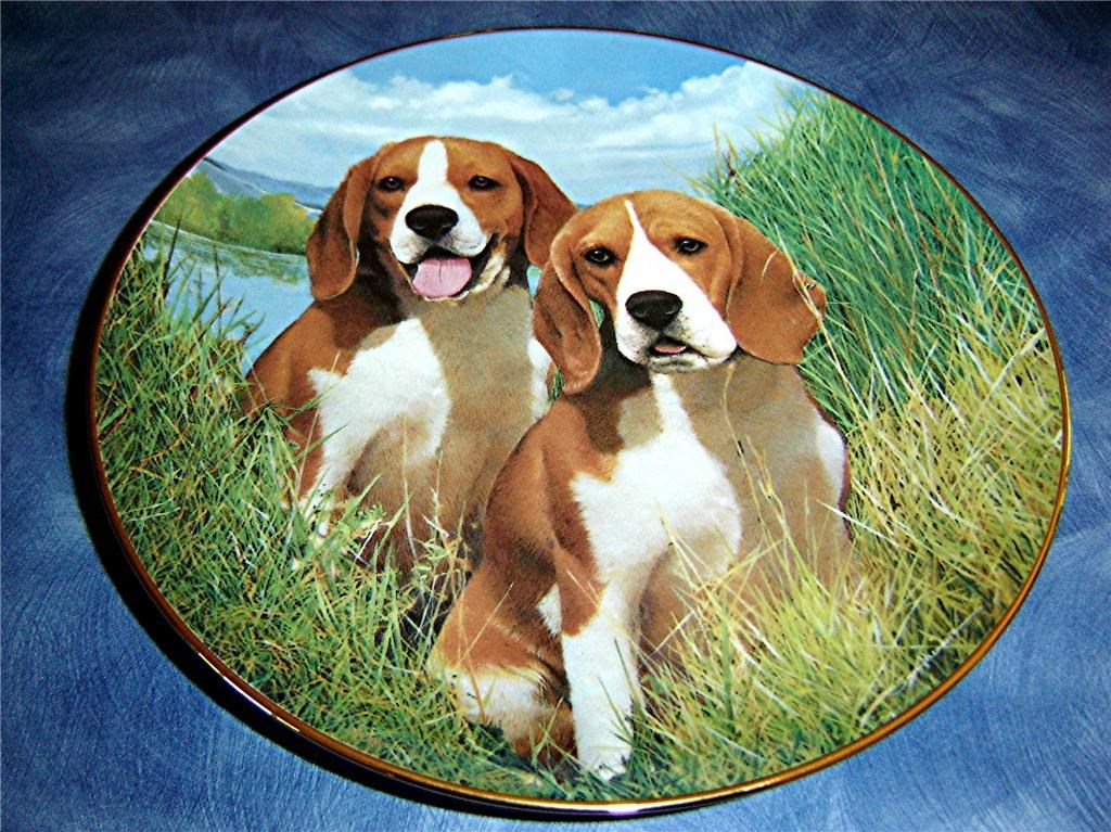 EAGER BEAGLES Dog Simon Menez THE DANBURY MINT BEAGLE DOG Puppy PLATE ...