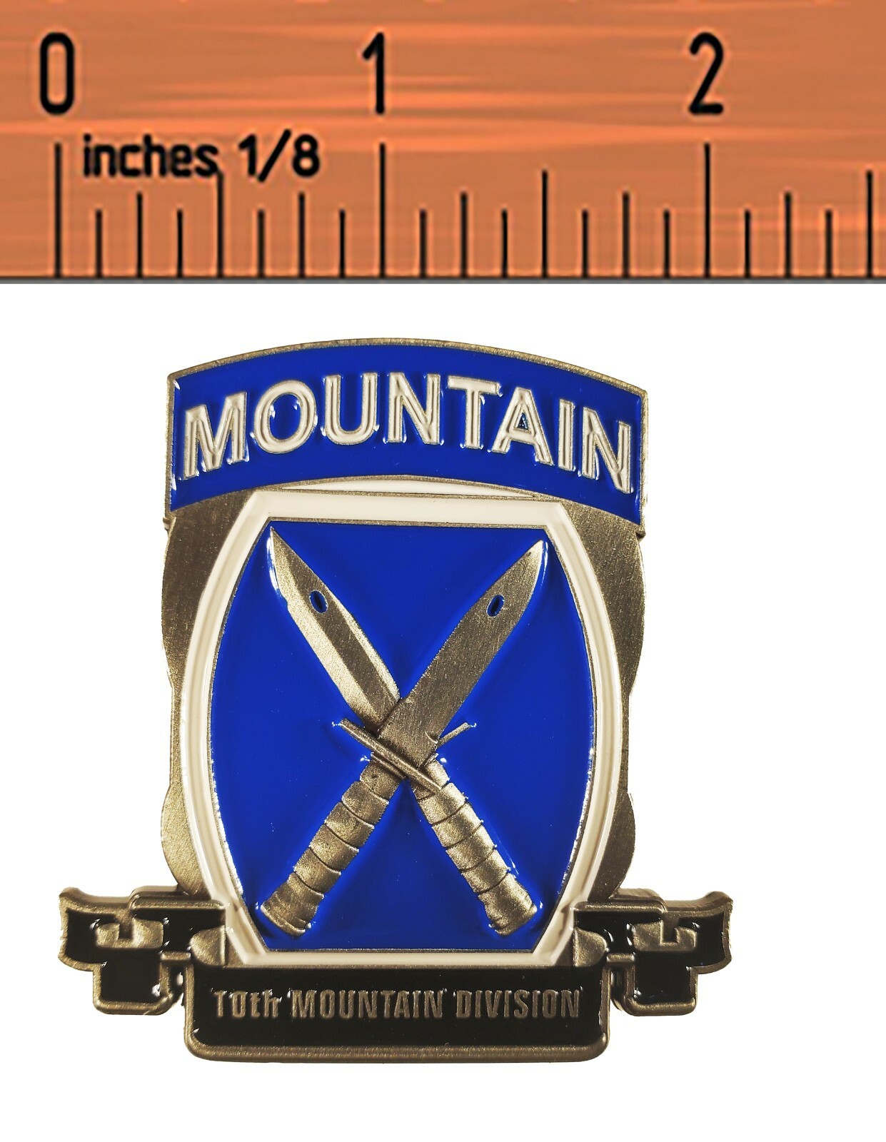 US Army 10th Mountain Division "Climb to Glory Commemorative Challenge ...