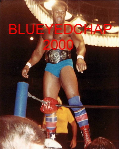 BUTCH REED WRESTLER 8 X 10 WRESTLING PHOTO WWF WCW | eBay