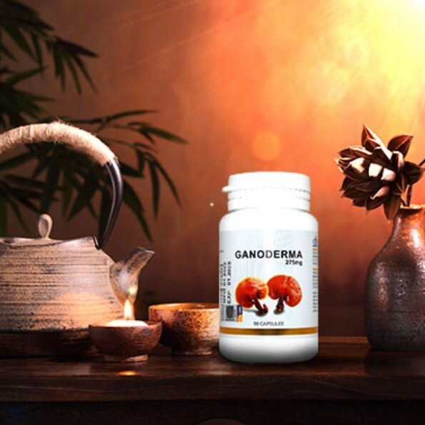 Gano Excel Ganoderma Lucidum 90 Capsules Reishi Lingzhi FREE SHIPPING ...