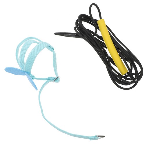 Strap Flying Rope Belt Bird Walking Parrot Harness Leash Training | eBay