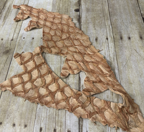 Ivory Pirarucu Hide Genuine Skin Arapaimia Gigas Remnant Scrap Fish ...