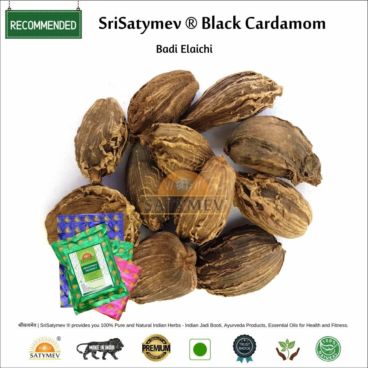 Pure herbal Black Cardamom (Badi ilaichi) for indian cooking 100 Gm ...