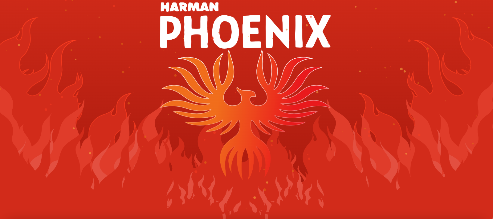 Harman Photo Phoenix ISO 200 C41 Color Negative Film (35mm, 36 Exp, 1 ...