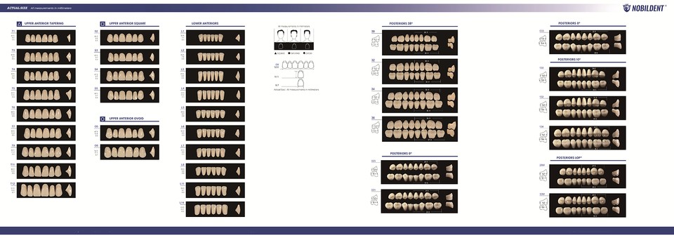 Prime Dental Acrylic Resin False Denture Teeth Anterior Posterior A00 ...