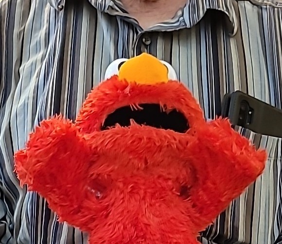 HASBRO SESAME STREET ELMO LOVES TO HUG BATTERY MOVES ARMS, SINGS ...