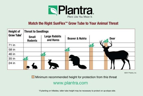 Plantra SunFlex Greenhouse Grow Tube System for Deciduous Trees w ...