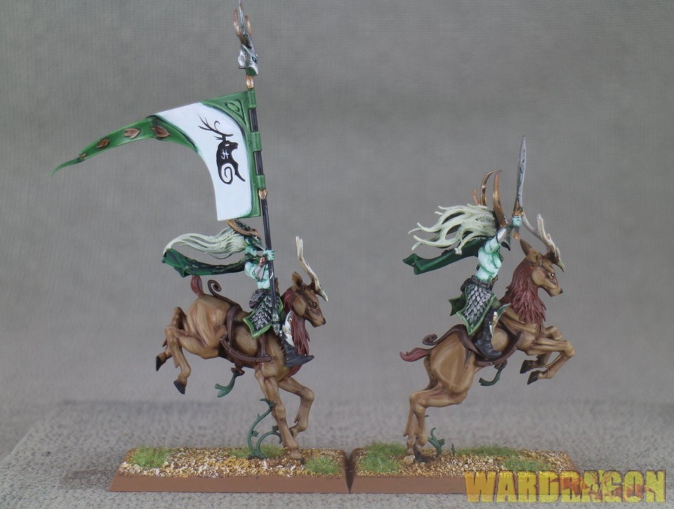 Warhammer AOS WDS painted Wood Elf Wild Riders b45 | eBay