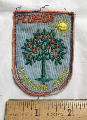 FLORIDA Sunshine State Orange Citrus Tree FL Souvenir Light Blue Patch ...