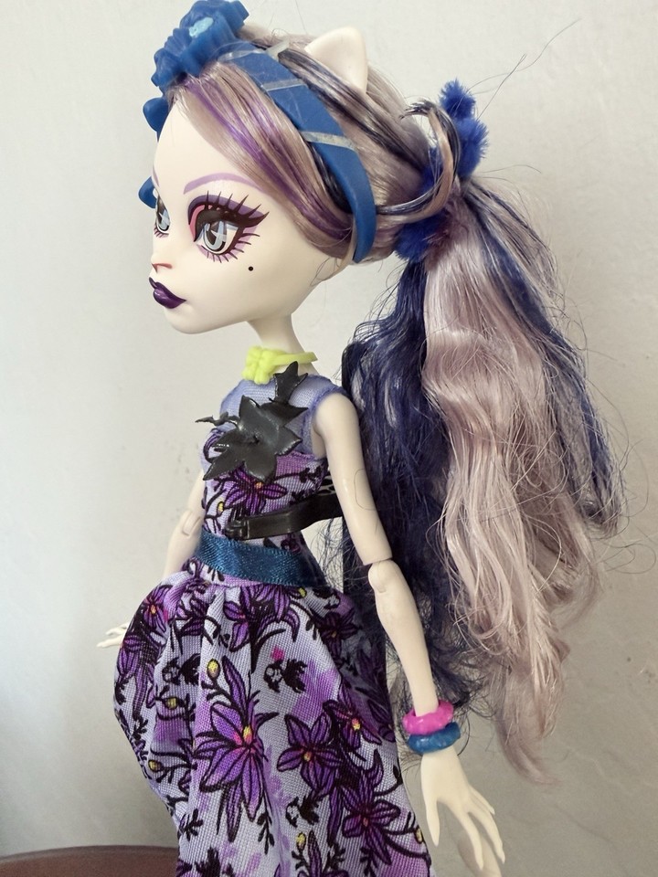 Monster High Catrine DeMew Gloom And Bloom Complete Set | eBay