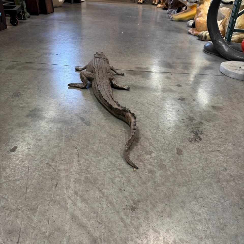 Crocodile Croc Resting Small Resin Statue Reptile Amphibian Display ...