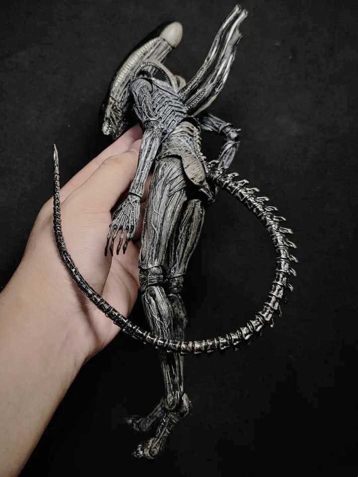 NEW NECA Alien：Covenant Movie figure Xenomorph Warrior 7" Action Figure ...