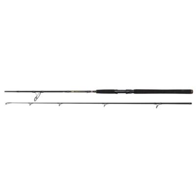 Penn Wrath II Spinning Fishing Rod | eBay UK