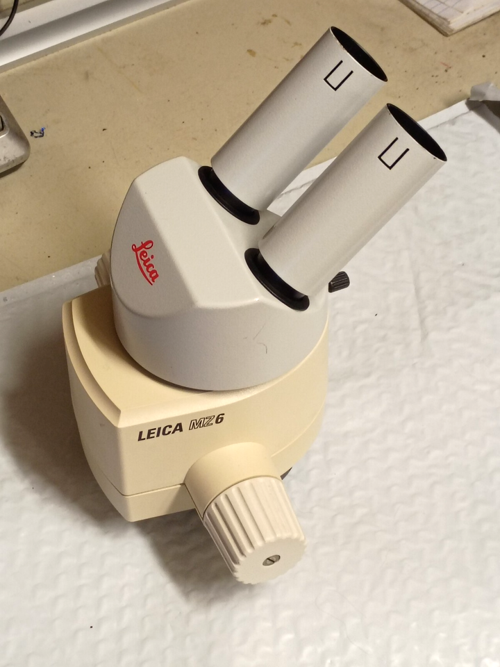 Leica MZ6 Stereo Zoom Microscope Body with Binocular Head | eBay