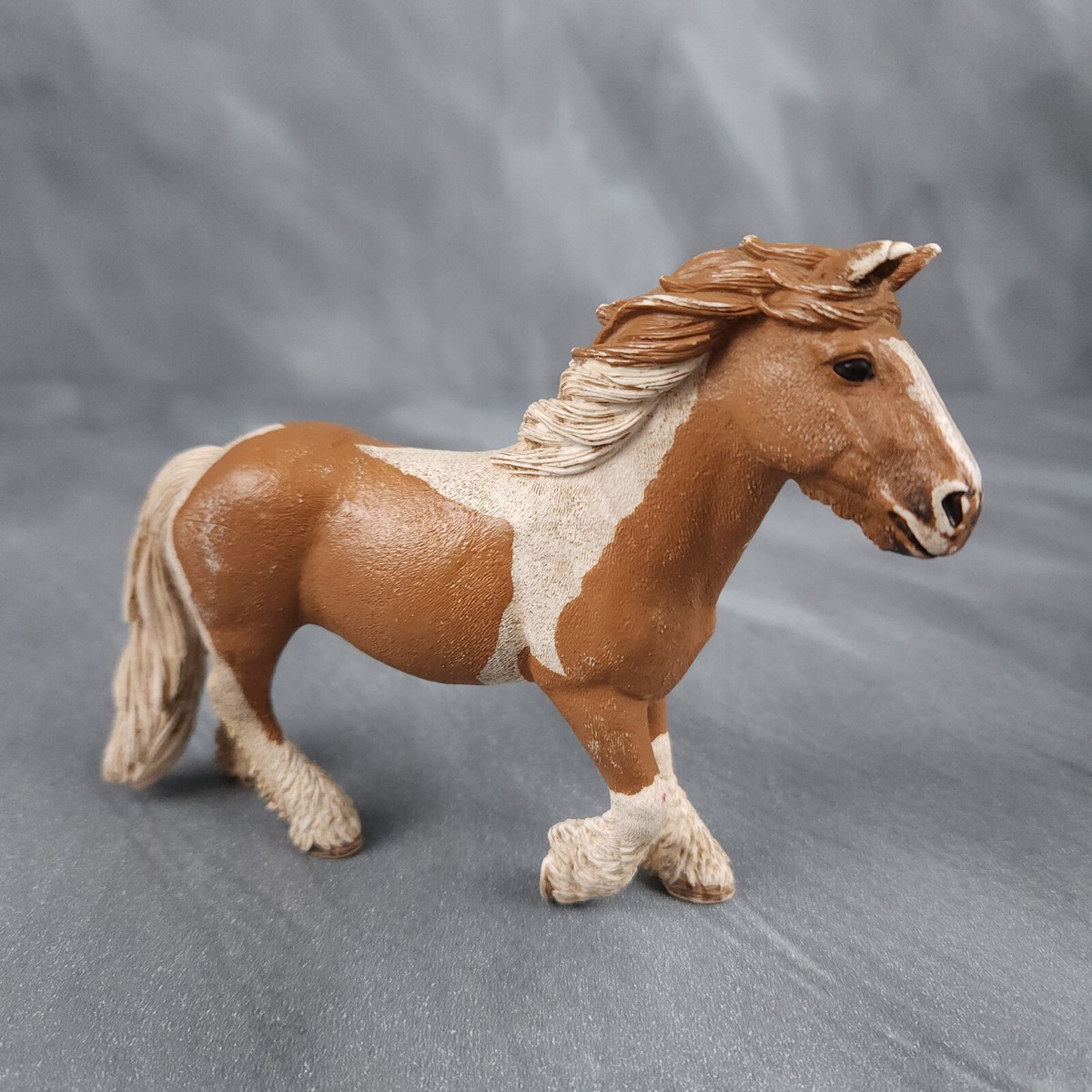 Horse Tinker Mare Tinker Mare Floss Edyta Trojańska Koch