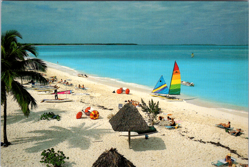 Vintage Postcard Bahamas Scenic Prints Blank Back | eBay