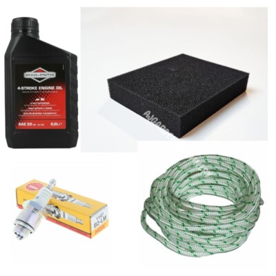 Mountfield RV150 / SV150 / V35 Replacement service kit SAE 30 Oil & NGK ...
