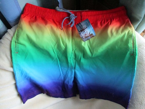 Biwisy Shorts Swim Trunks Swimwear Multicolor Rainbow Size XL | eBay
