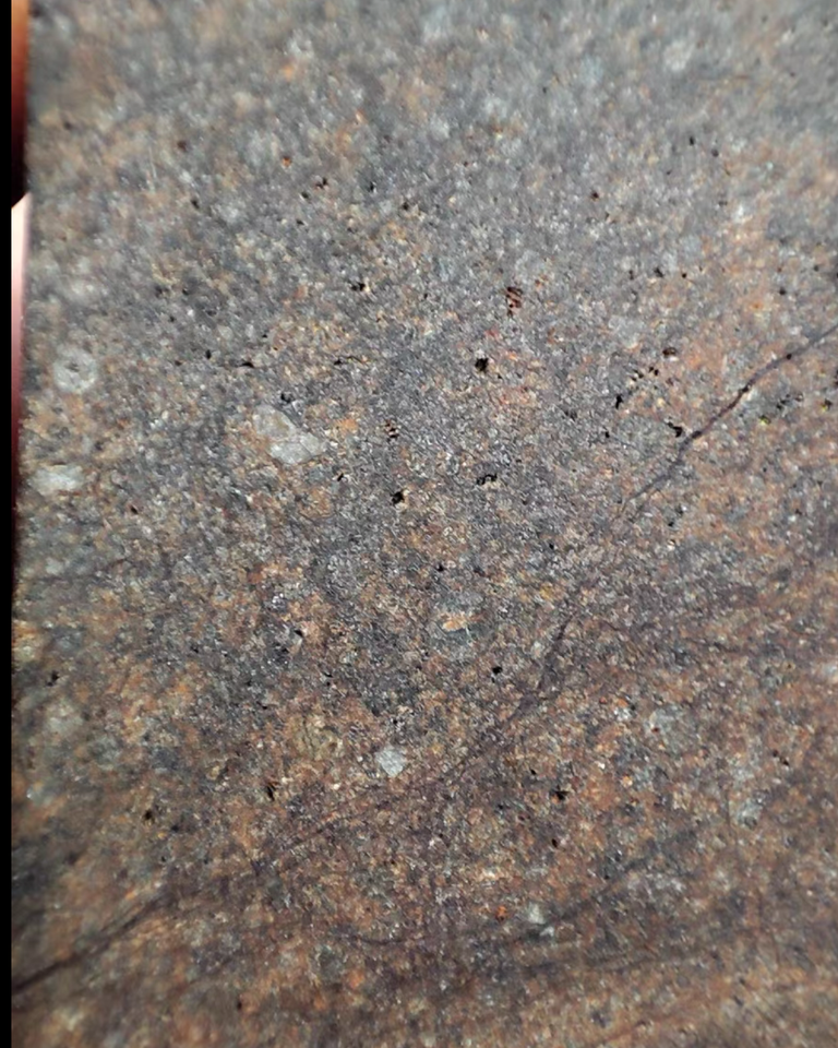 142g L5 type NWA Northwest Africa Meteorite Enstatite chondrite EL-melt ...