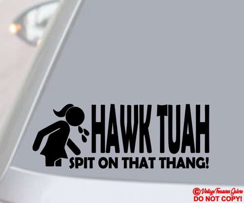 HAWK TUAH SPIT ON THAT THANG Vinyl Decal Sticker Car Rear Window Bumper ...