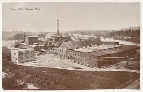 Birds Eye View Paper Mills Everett WA Washington Unused 1910s Postcard ...