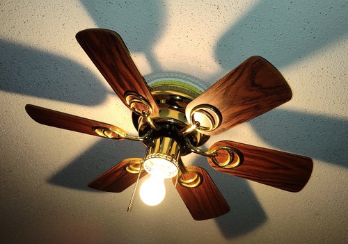 Polished Brass JFC P30 -6WL Ceiling Fan 30" 6 Blade 1- Light White ...