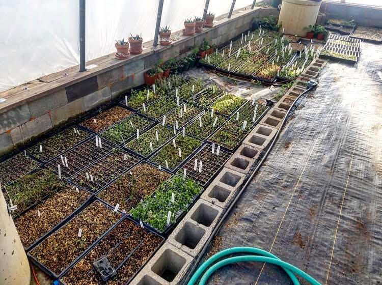 Capillary Mat System Kit (4'x8') - Automatic Water System for Seedlings ...