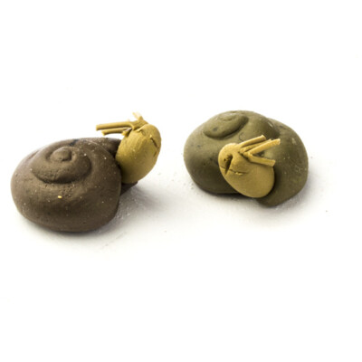 Miniature Garden Snails | 12 Pieces | eBay