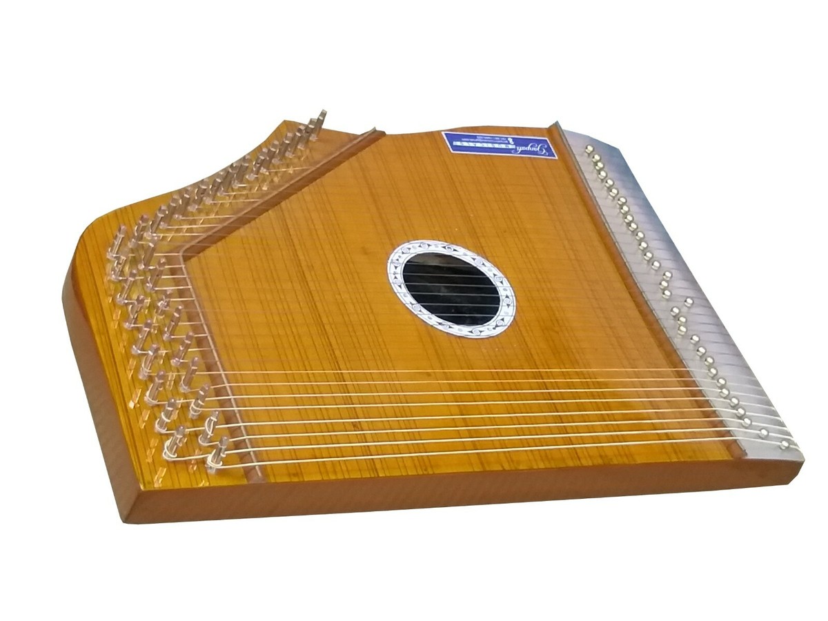 Swarmandal Player