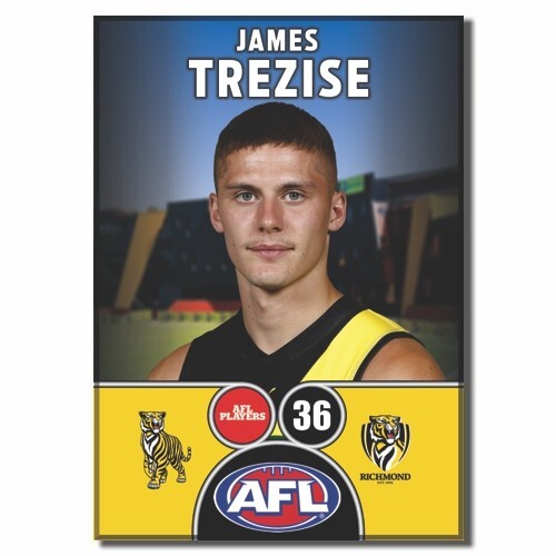 2025 AFL Richmond Football Club - TREZISE, James | eBay Australia