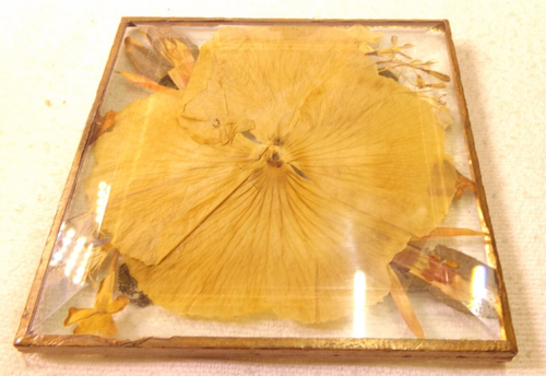 Snapdragon Pacific Paper Pressed Flower Decor Coaster 4”x4” | eBay