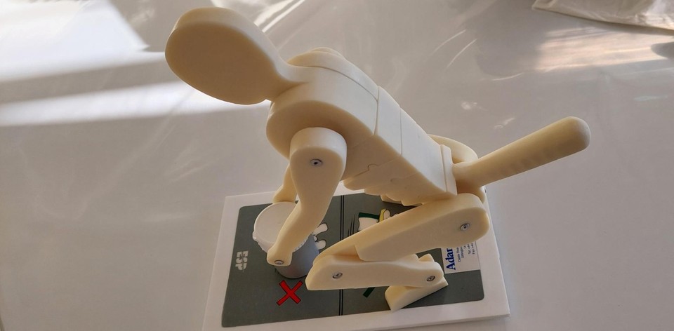 ESP Manual Manikin Handling Training Aid - Teaching Aid For Health And ...