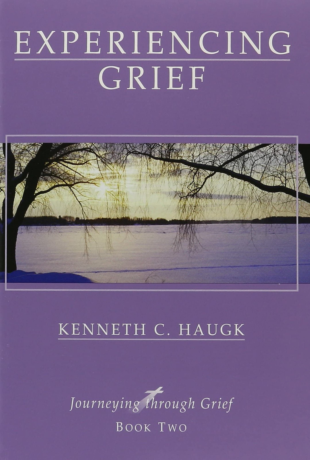 Journeying Through Grief (4-Book Set) Kenneth C. Haugk | eBay