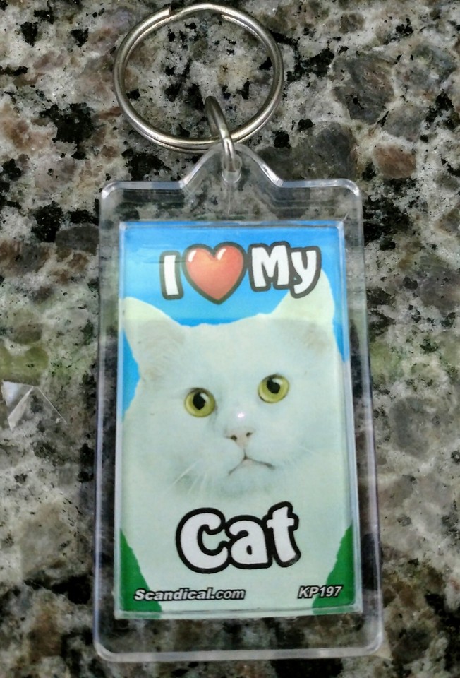 Cat Key Chain Clear Plastic Metal Ring Choose Breed/Color In Stock In ...