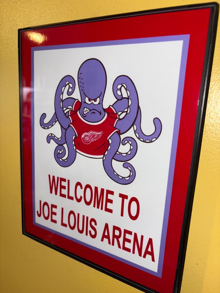 Detroit Red Wings Octopus Hockey Stadium Throwback Bar Man Cave Sign | eBay