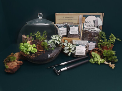 Full Terrarium Kit with Plants & Glass Gift Set - Soil DIY Tools Idea ...
