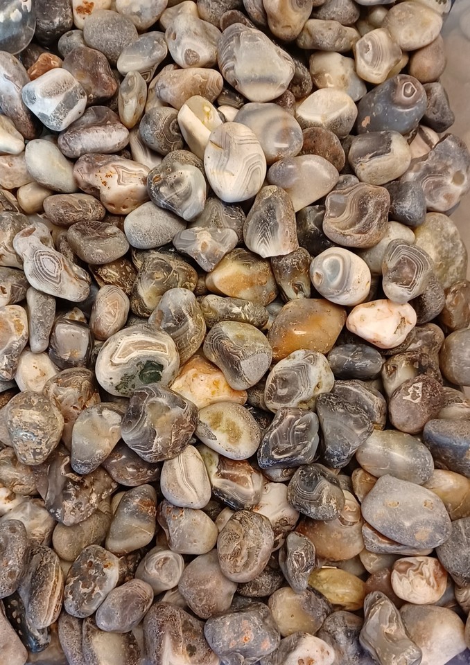 Botswana Agate rough 1-2" A+ pound lbs tumbling lapidary banding ...