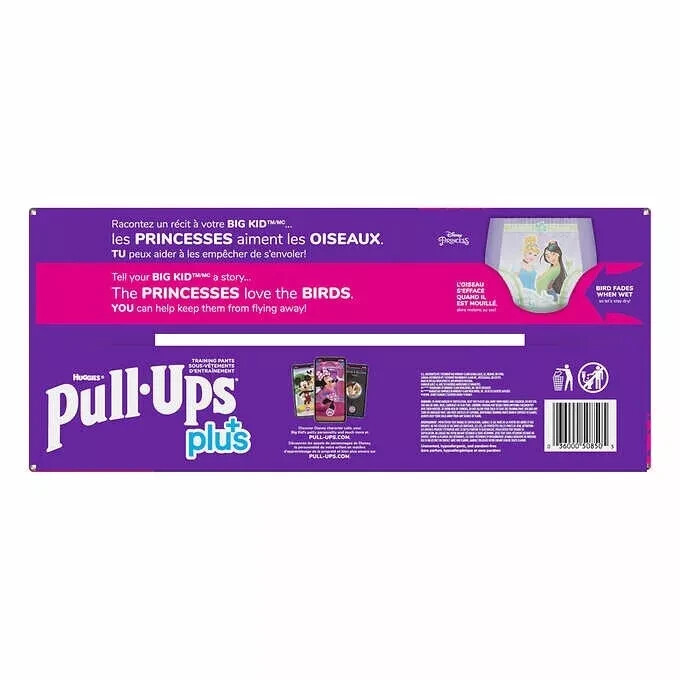 Huggies Disney Princess Pull Ups 2T-3T Girls Training Pants 128 Ct | eBay