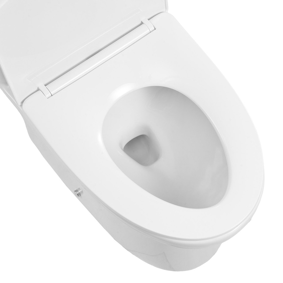 For One-Piece Toilet, Elongated Toilet Vortex Dual-Flush 1.0/1.28 GPF ...