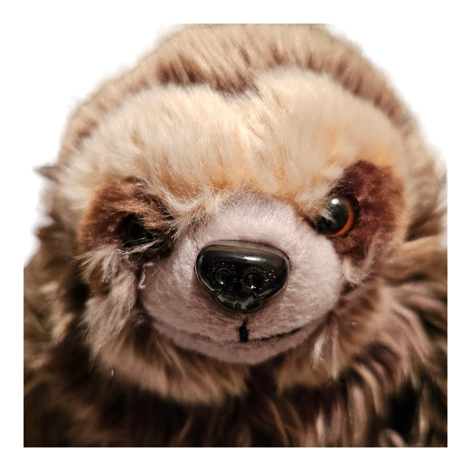 Three Toed Sloth Costa Rica Realistic Brown Stuffed Animal Plush CLEAN ...