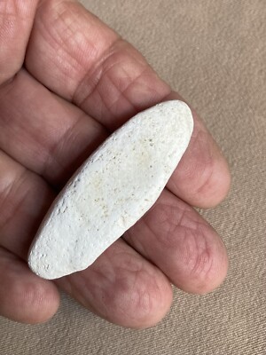 Fl Shell Artifact conch shell Celt Miniature | eBay