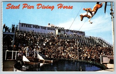 Steel Pier Diving Horse Atlantic City New Jersey Reprint Postcard AF388 ...
