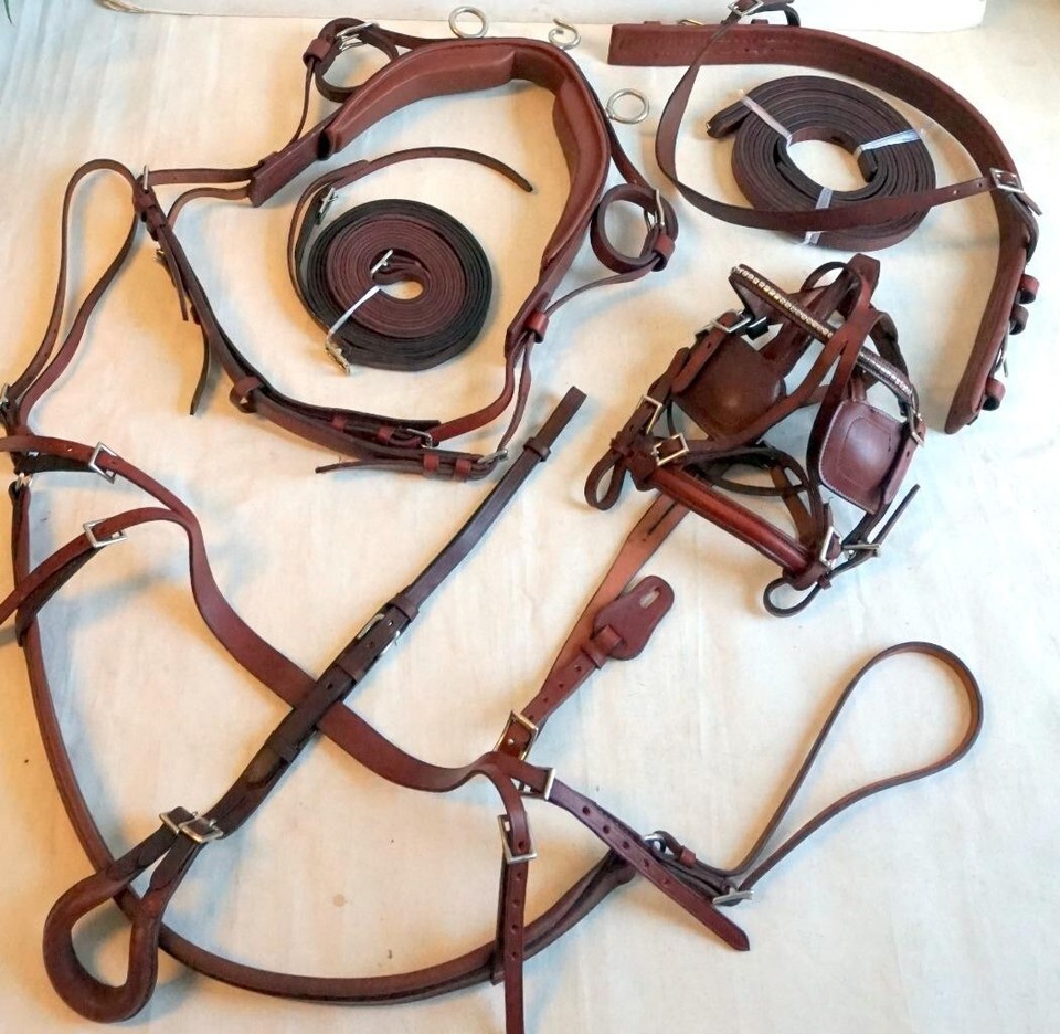 Reddish Brown Leather Small Pony MINI Horse Driving Harness With Silver ...