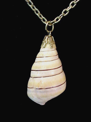 Vtg Candy Striped Banded Snail Cone Shell Pendant Chain Necklace BOHO ...