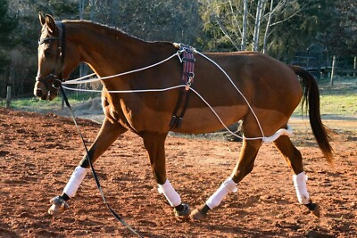 Leaders NEW Horse (Equine) Lunging Training System Lunging Aid (Pessoa ...